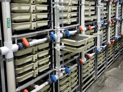 Fisheries Management | Hatchery Performance | Ecology